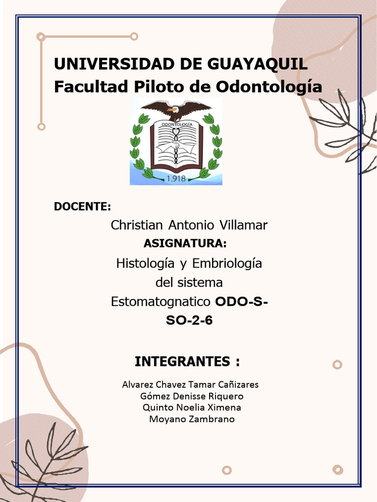 Gastrulación. Grupo1. | PDF | Embrión | Morfología (biología)