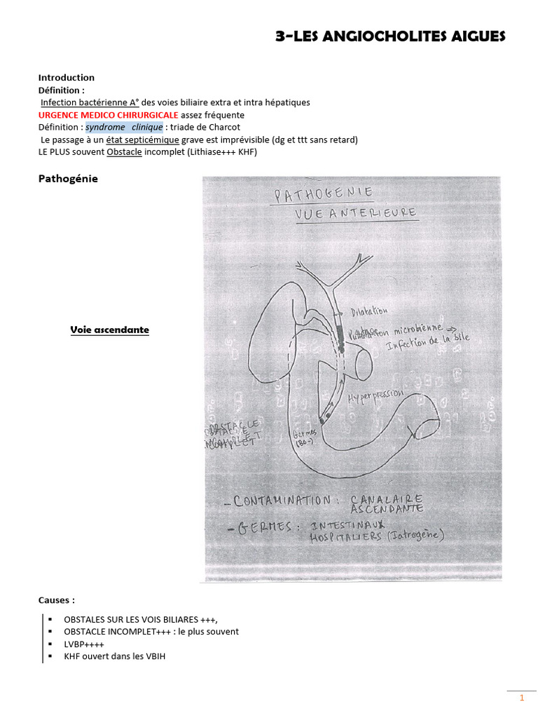 Angiocholite Aiguë : Diagnostic et Traitement | PDF | Spécialités ...