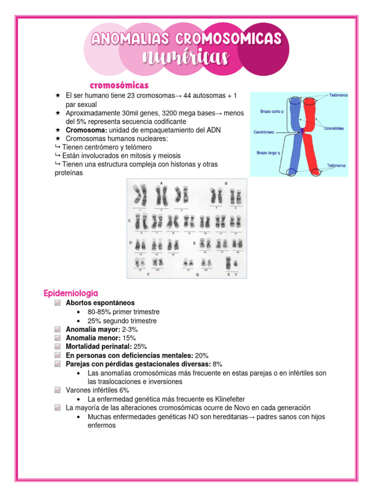 Anomalías Cromosómicas Numéricas | PDF | Cromosoma | Biología