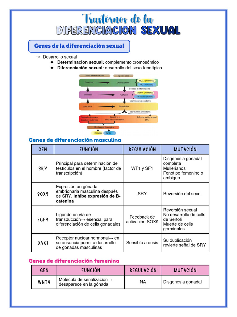 Trastornos de La Diferenciación Sexual | PDF | Intersexual | Biología