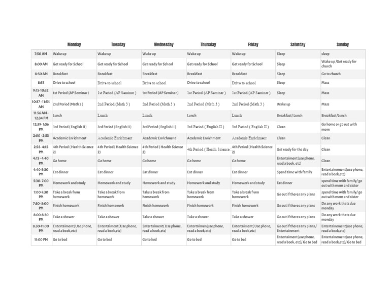 S Diaz Time Management Plan - Time Management Plan | PDF