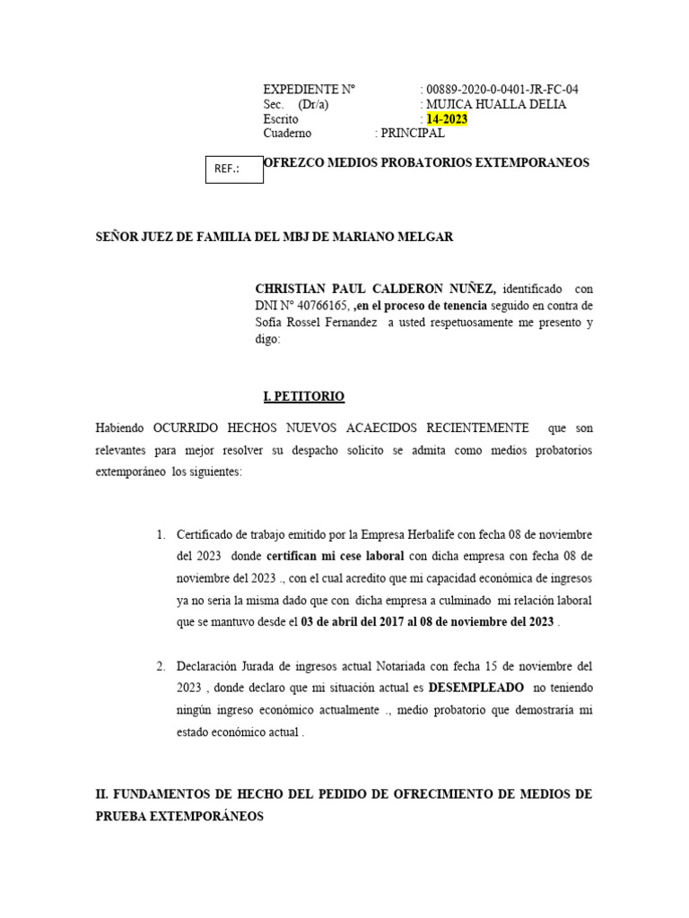 Escrito 14 Presento Medio Probatorio Extemporaneo | PDF | Demanda ...