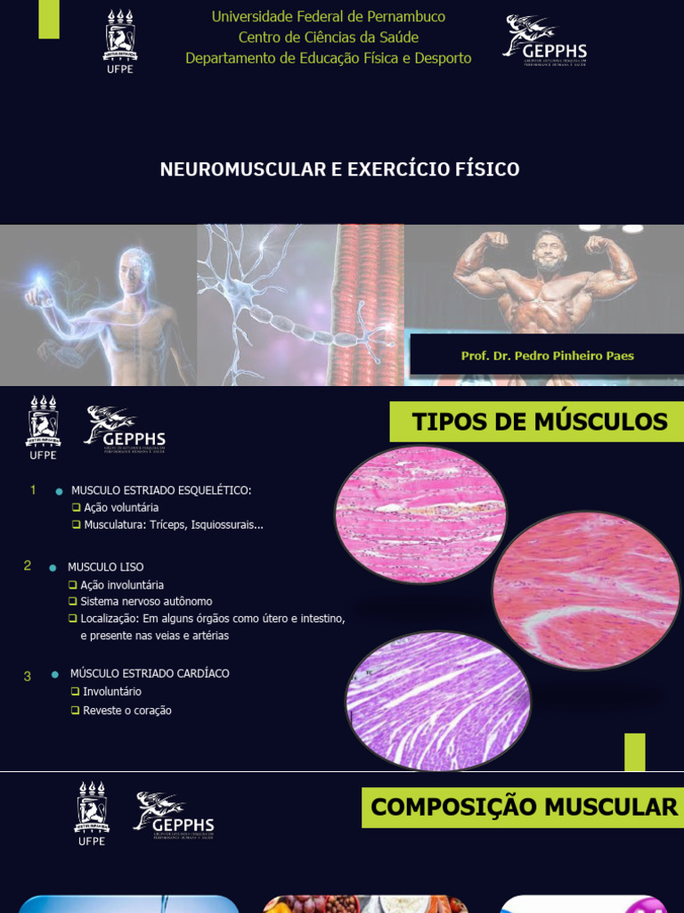 2023-11_-_Sistema_Neuromuscular_e_Ex_Fis | PDF | Músculo | Neurônio motor