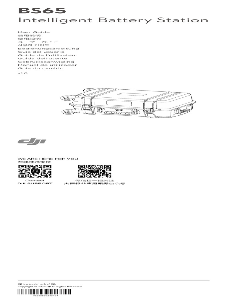 Matrice 350 RTK BS65 Intelligent Battery Station User Guide I | PDF | Electrical Engineering ...