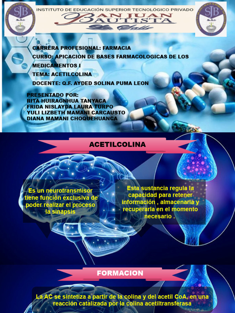 receptores acetilcolina (1) | PDF | Acetilcolina | Fisiología