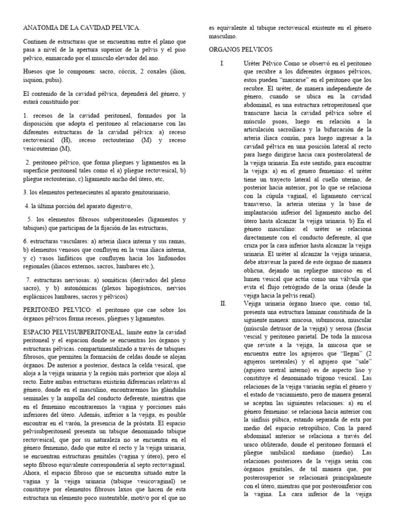 Anatomia De La Cavidad Pelvica Y Prolapso Descargar Gratis Pdf