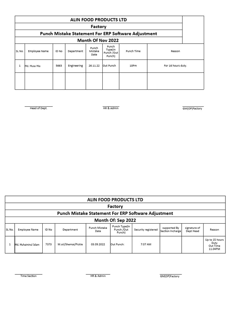 Punch Mistake Report for ERP Adjustment | PDF