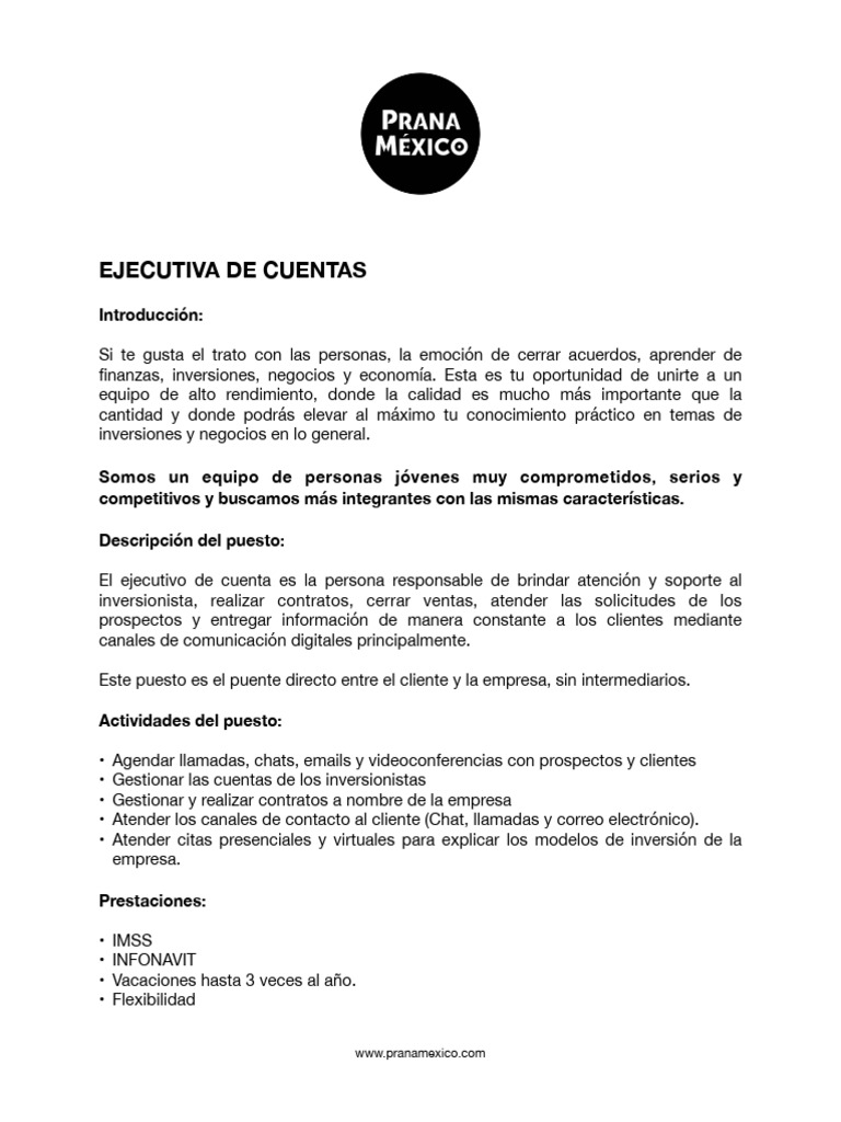 Ejecutiva de Cuentas | PDF | Chat en linea | ciberespacio