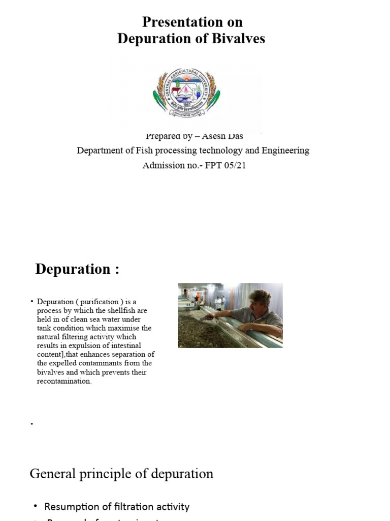 Depuration of Bivalves FINAL - Mehta Sir (5 | PDF | Water Purification | Bivalvia