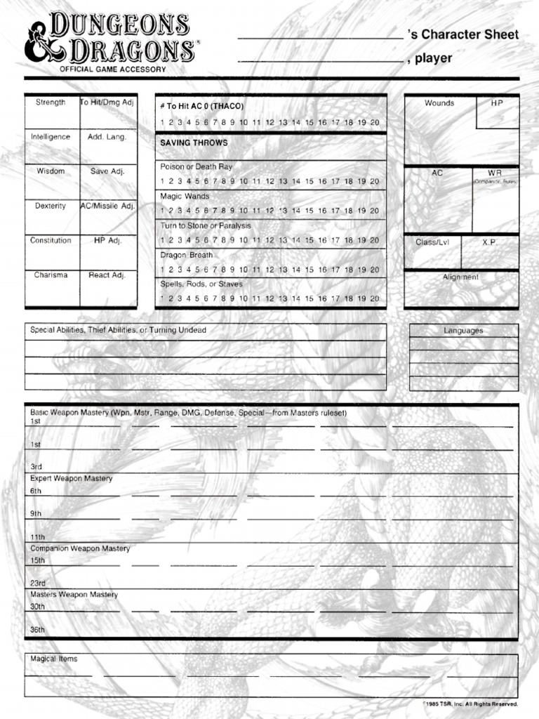 BECMI Character Sheet Ink Saver | PDF