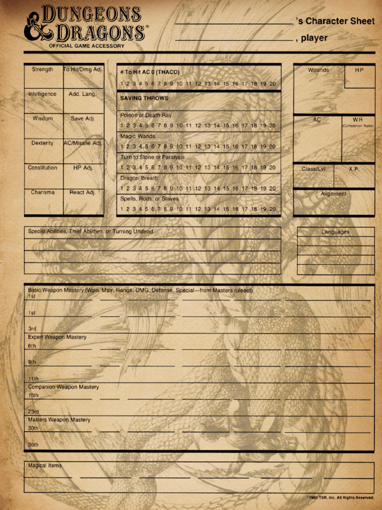 BECMI Character Record Sheet Parch | PDF