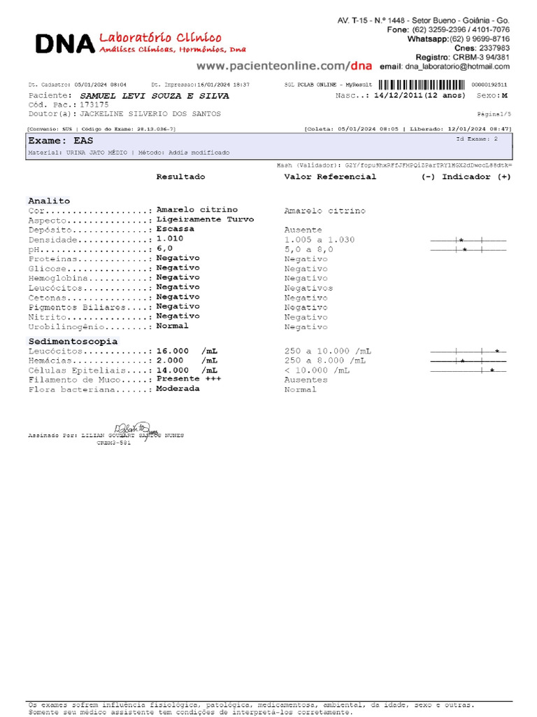 Acesso A Resultados de Exames - Paciente | PDF