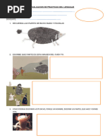 Secuencia Didactica #5 - Bicho Raro | PDF | Escritura | Comunicación