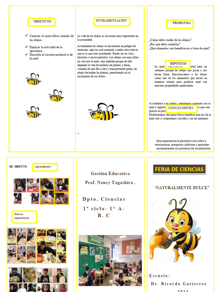 Folleto ABEJAS | PDF | Miel | Abejas