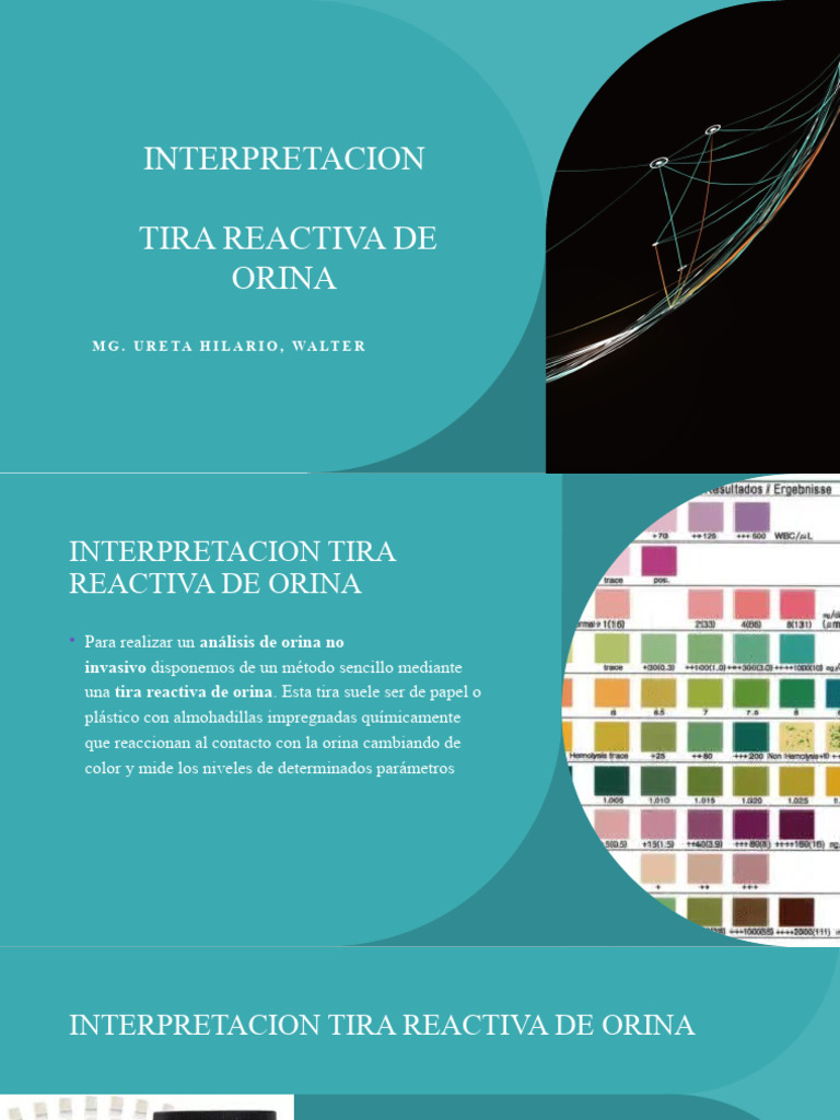 Interpretacion Tira Reactiva de Orina | Descargar gratis PDF ...