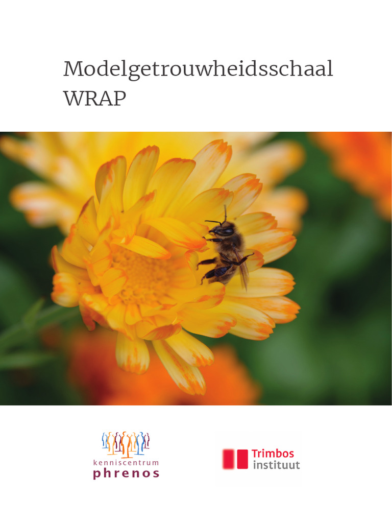 Wellness Recovery Action Plan | PDF