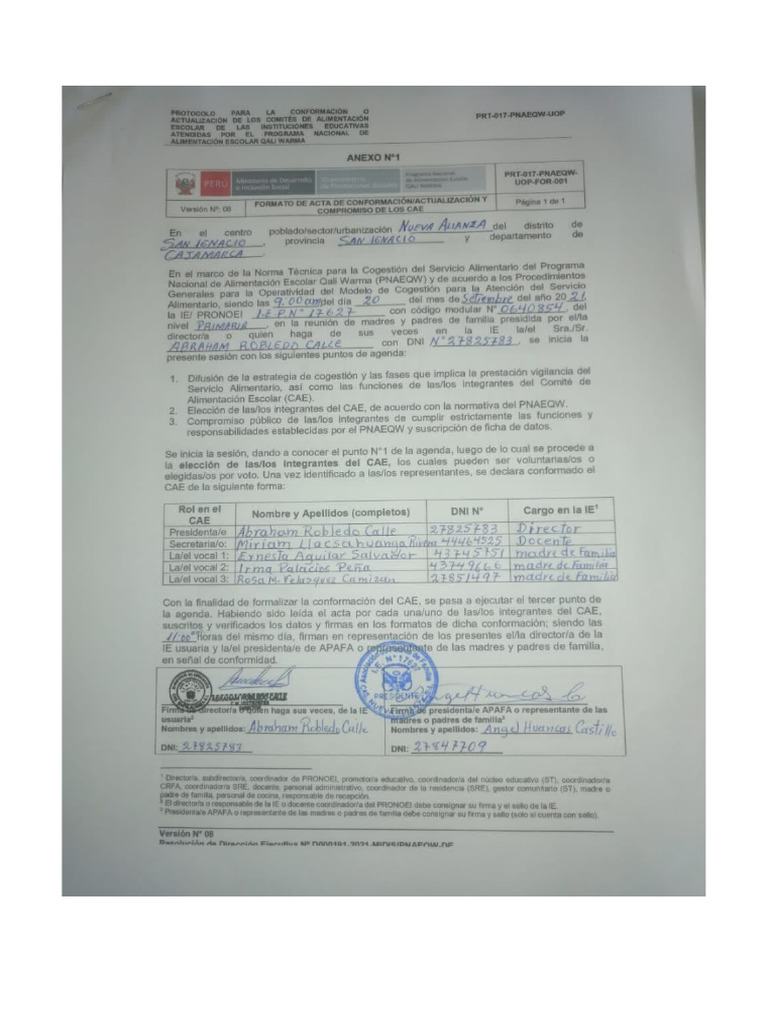 Acta de Conformación y Actualisación del CAE | PDF