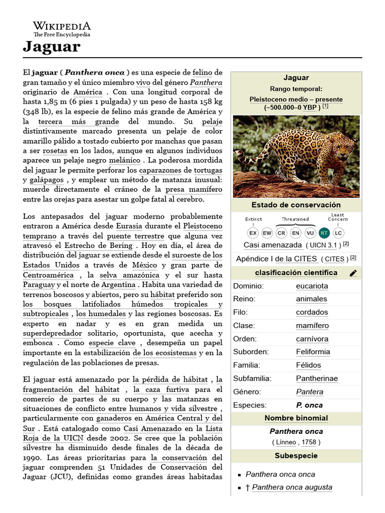 Jaguar | PDF | Felinos | Gatos