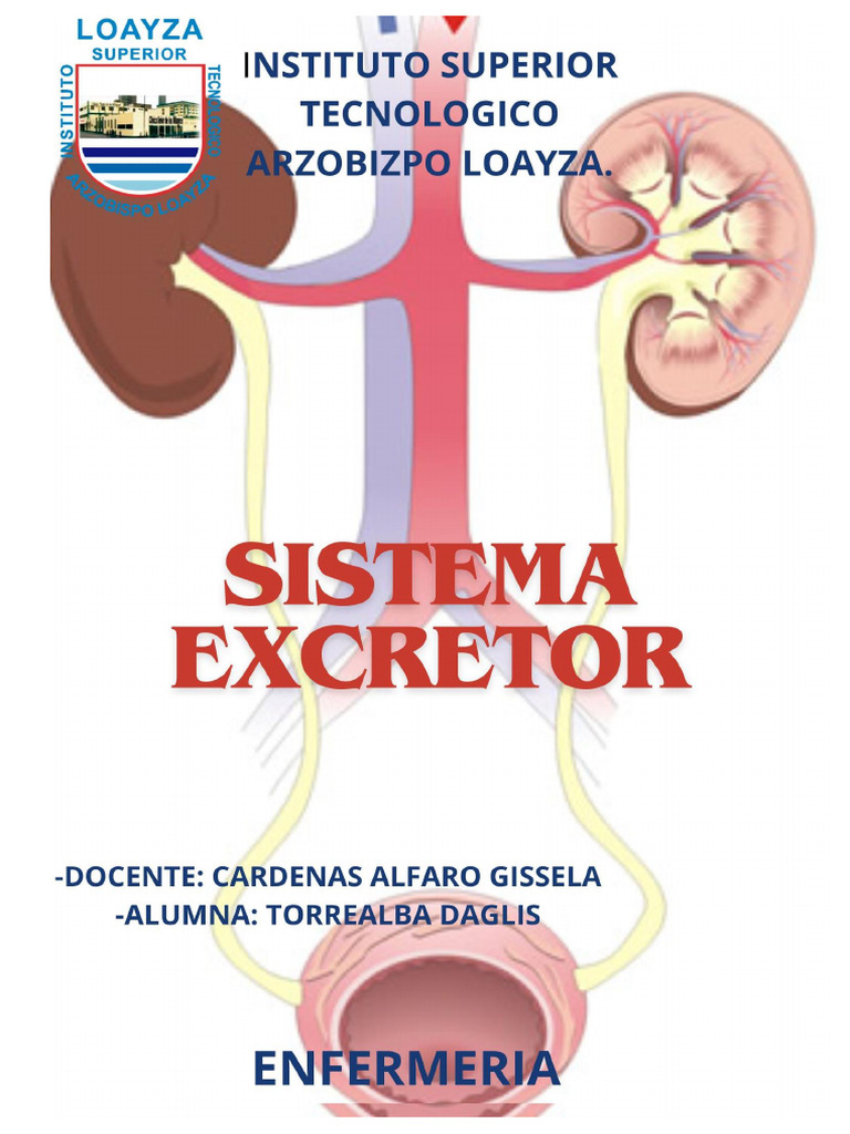 Portada Del Excretor | PDF