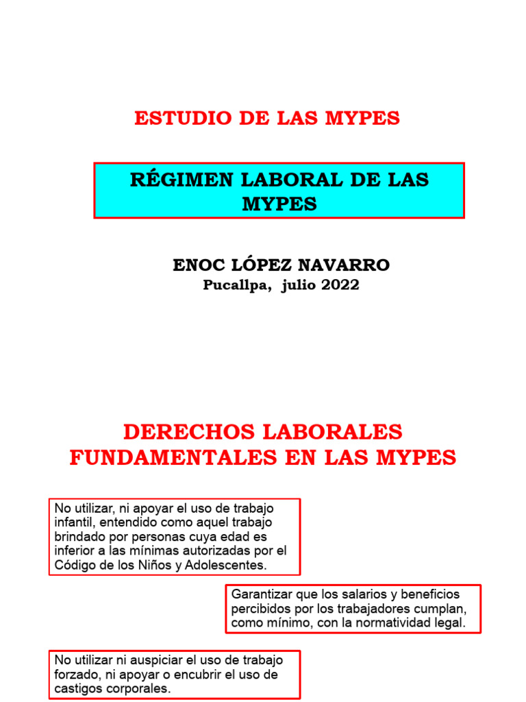 Mype Laboral | PDF | Derecho laboral | Tiempo de trabajo