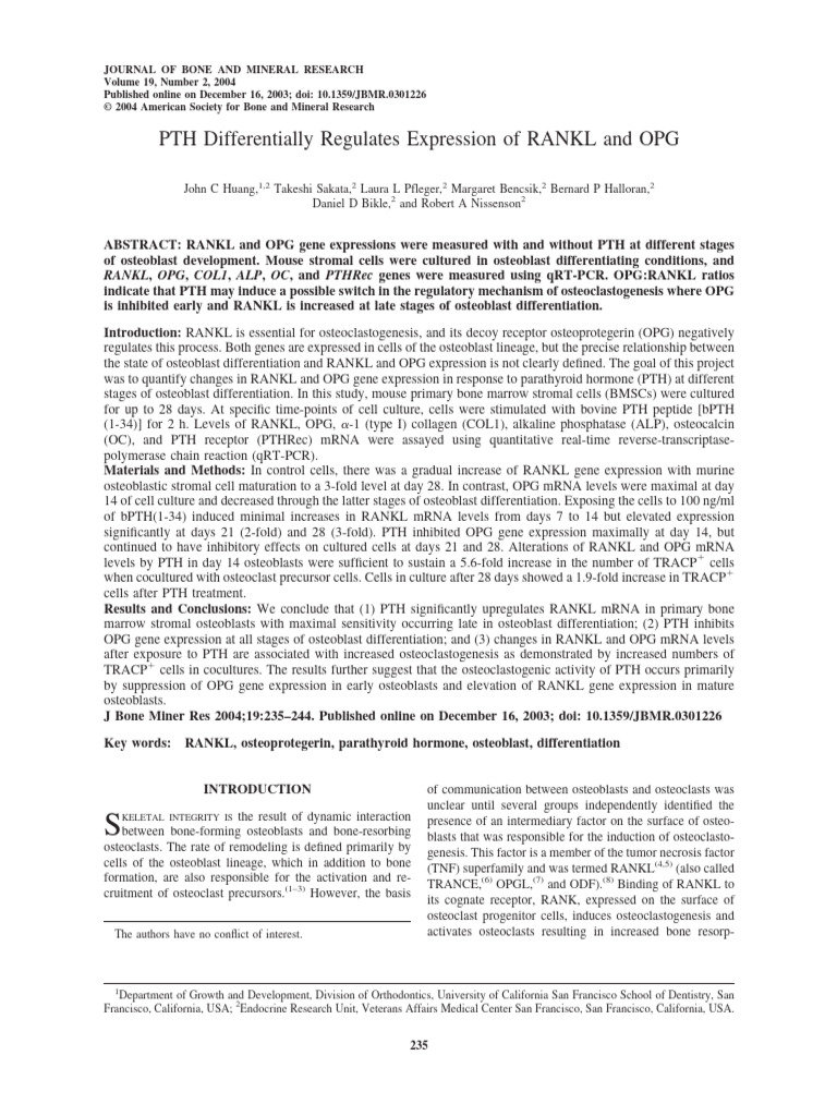 PTH_RANK-L_OPG | PDF | Bone | Osteoblast