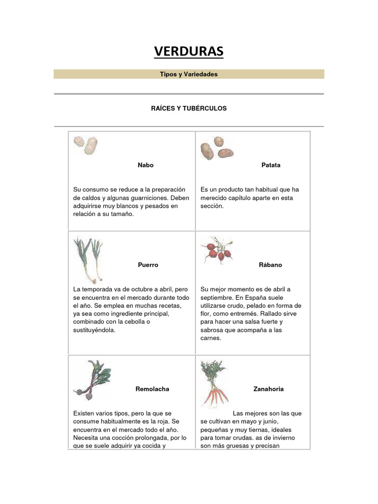 verduras | PDF | ensalada | Cocinando