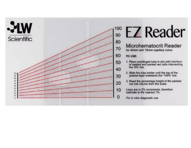 EZ Reader | PDF