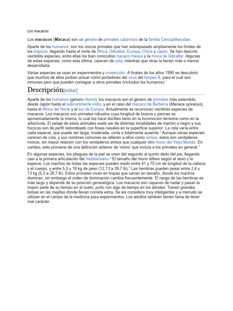 Los Macacos | PDF | Zoología