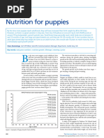 JAX Mouse Pup Age Appearance Guide | PDF