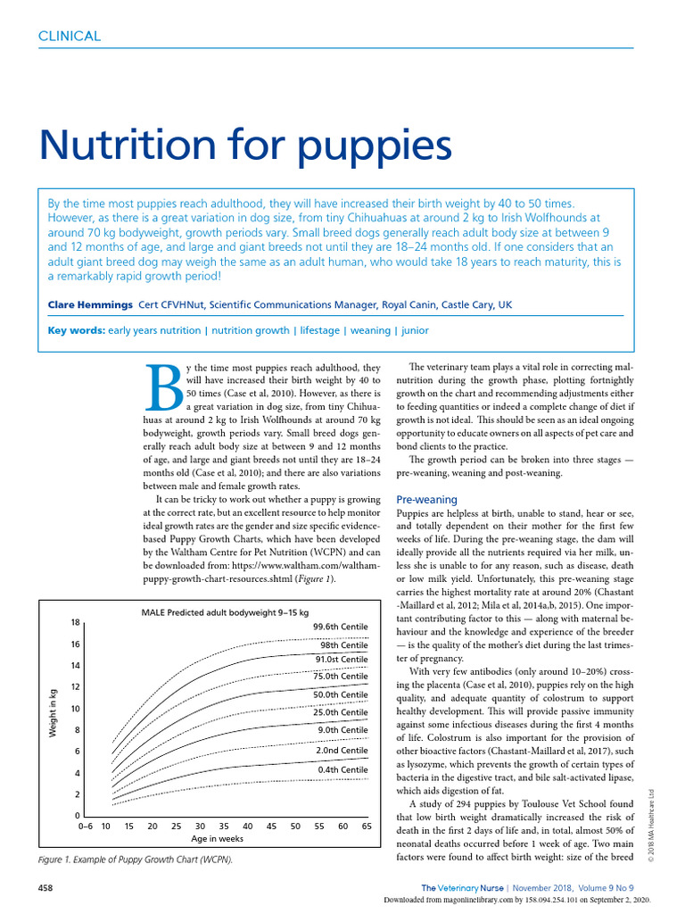 Nutrition For Puppies-1 | PDF | Weaning | Diet (Nutrition)