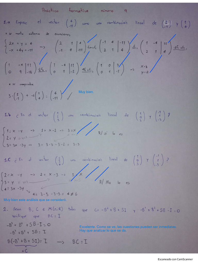 Análisis de Inversibilidad de Matrices | PDF