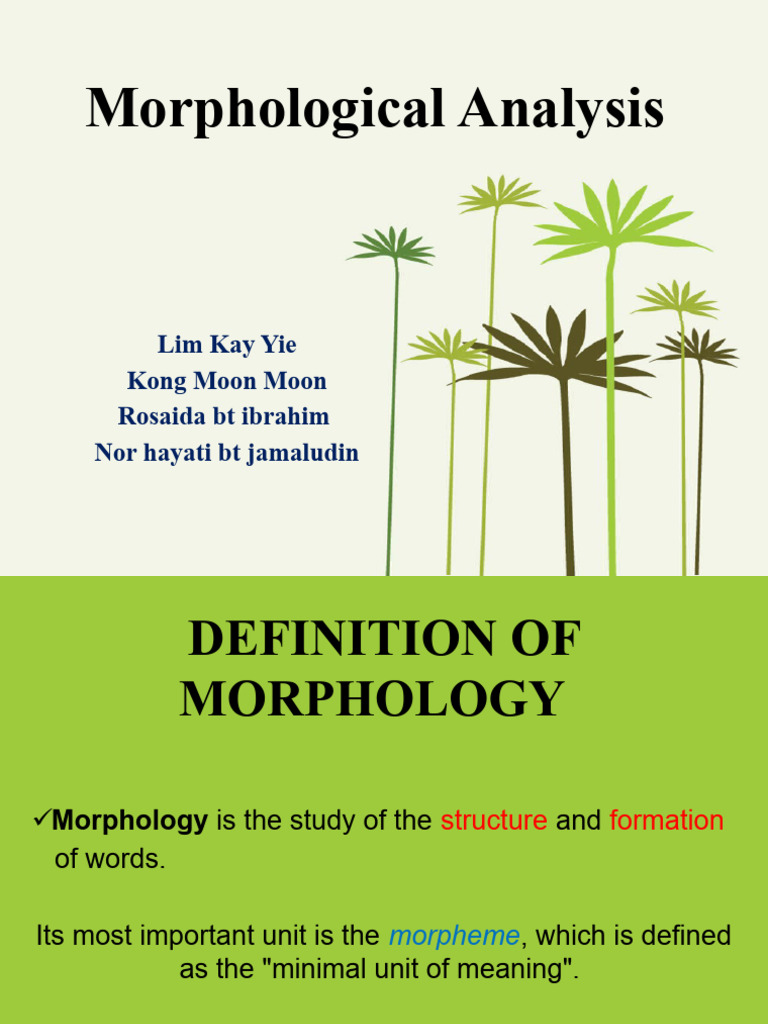 What Is Morphology? - Brief Explanation | PDF | Word | Grammatical Number