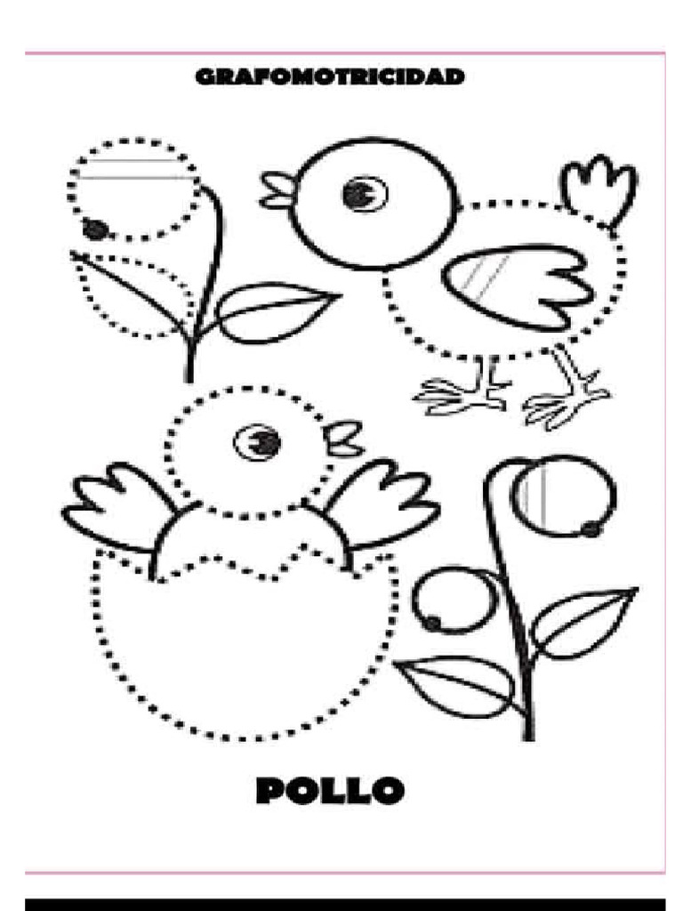 Ficha de Pollito | PDF