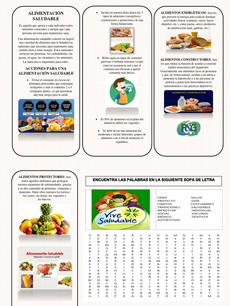 Folleto Alimentacion Saludable | Descargar gratis PDF | Alimentos ...