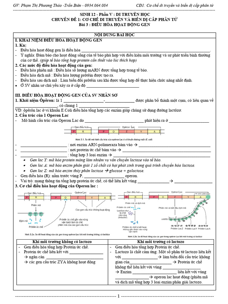 3.S12 Bài 3 4 GV | PDF