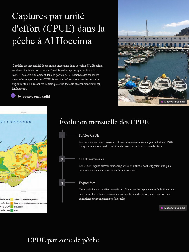 Captures Par Unité D'effort (CPUE) Dans La Pêche À Al Hoceima | PDF | Plancton | Productivité ...