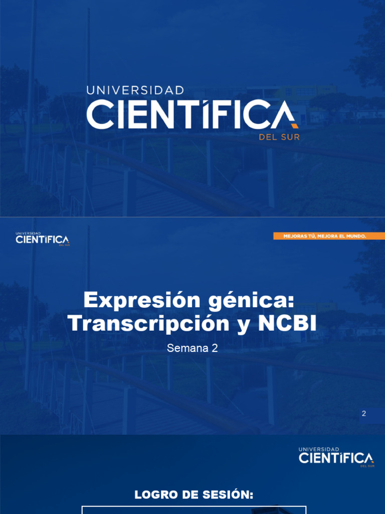 Semana 2 Biolog. Celular y Genetica | PDF | Rna | Gene