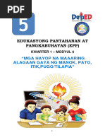 Epp 5 | PDF
