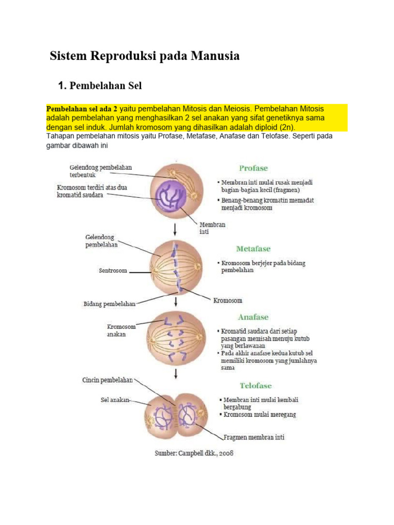 Bahan Ajar Sistem Reproduksi 9 | PDF | Kesehatan Holistik