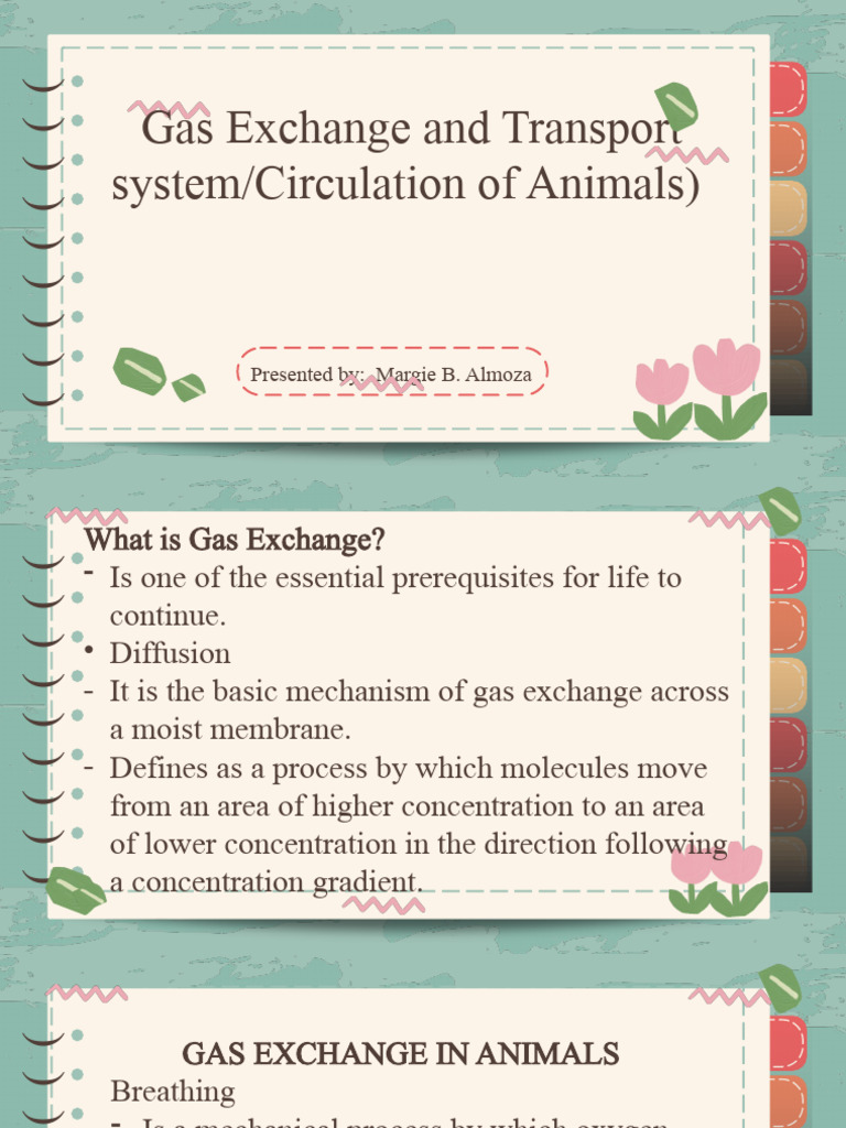 Gas Exchange-Transport in Animals | PDF | Respiratory System | Lung