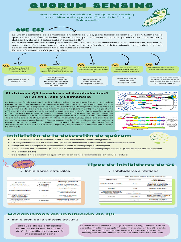 infografia de QS (2) | PDF | Transducción de señales | Inhibidor de la enzima