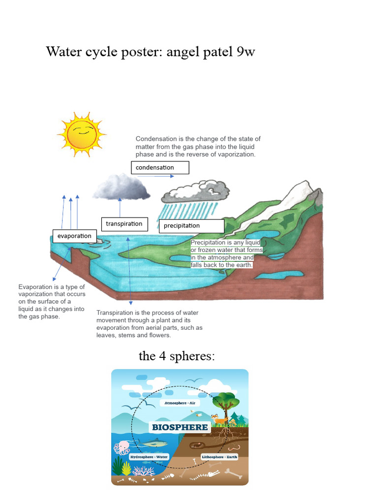 Water Cycle Poster | PDF