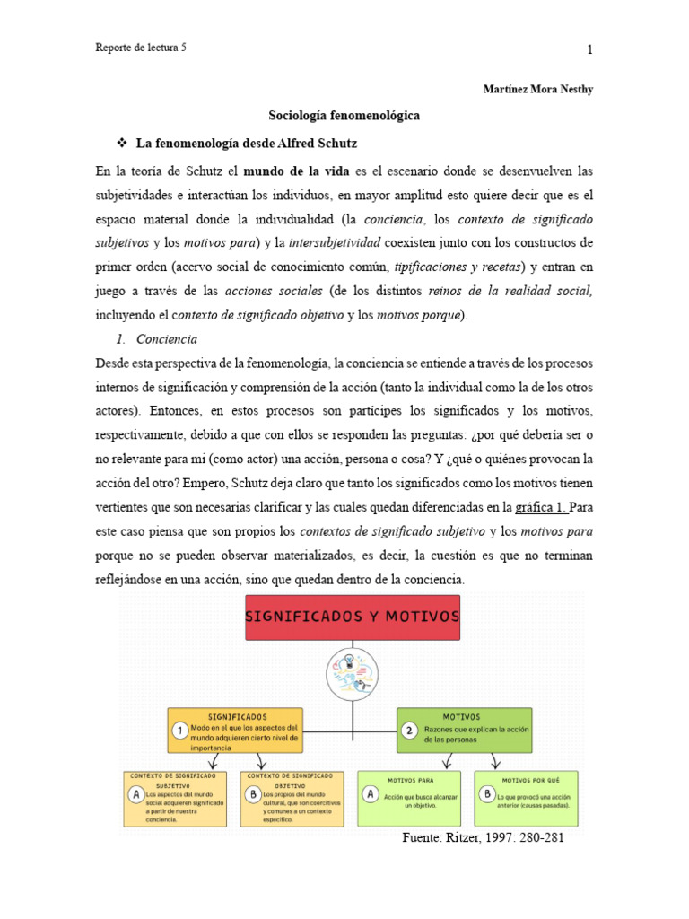 Fenomenología y Acción Social en Schutz | PDF | Sociología | Realidad