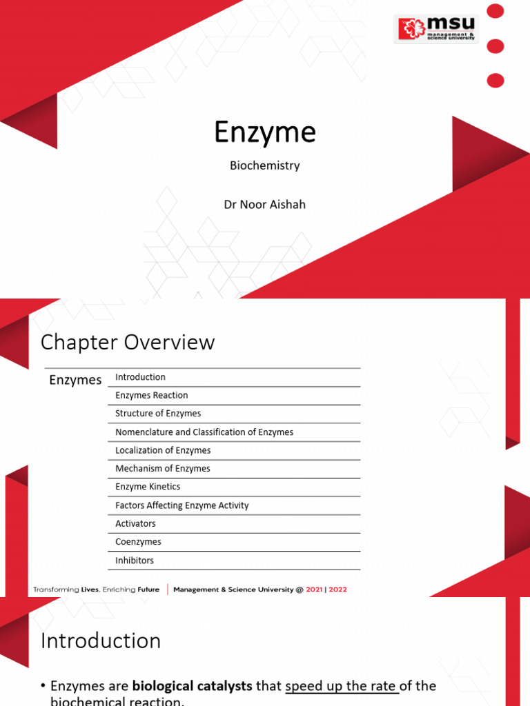 Enzyme | PDF | Enzyme | Active Site