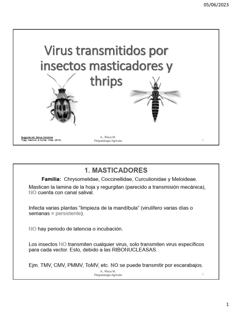 6-CLASE.F.AGRI-Trans - Otros Insectos-Nemat-Hongos-Protistas - Gris | PDF | Patologia de planta ...