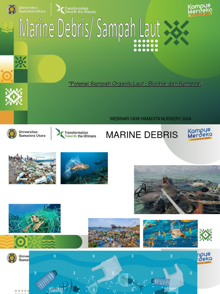 Marine Debris | PDF