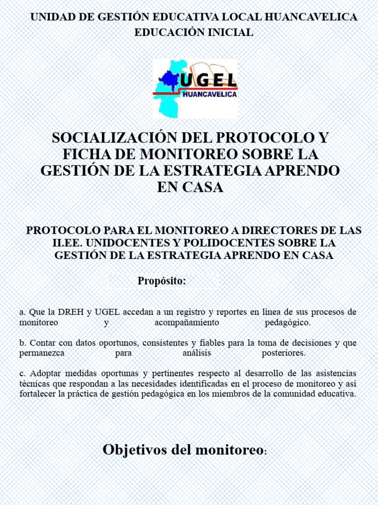 Socialización Del Protocolo y Ficha de Monitoreo Sobre | PDF | Aprendizaje | Maestros