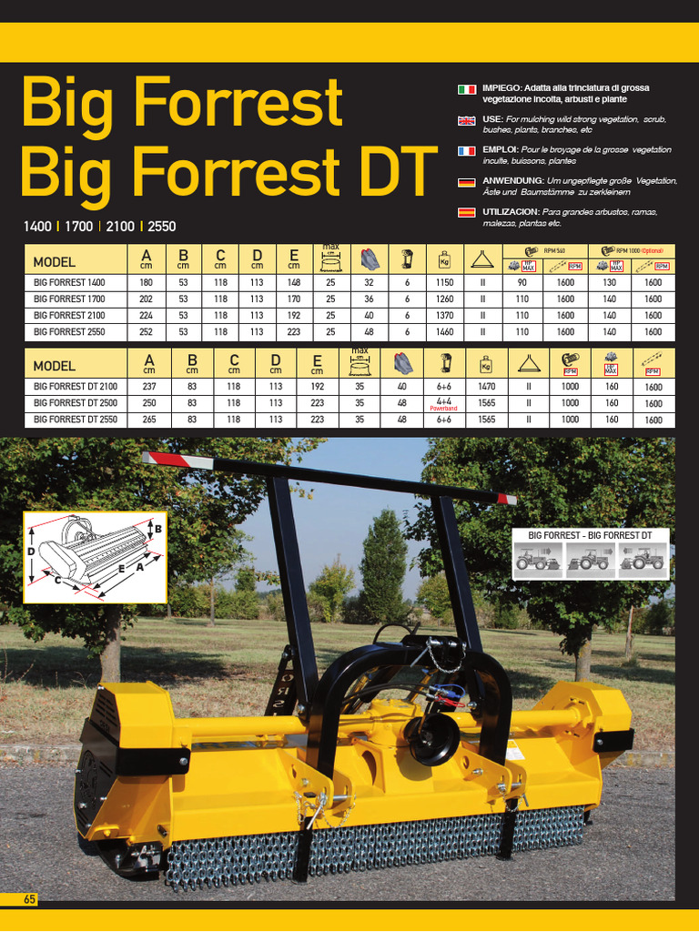 big forrest强力树林 | PDF