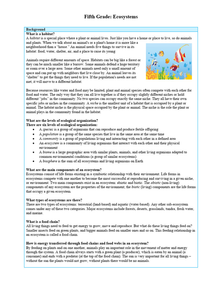 5th Grade Ecosystems Overview | PDF | Food Web | Ecosystem