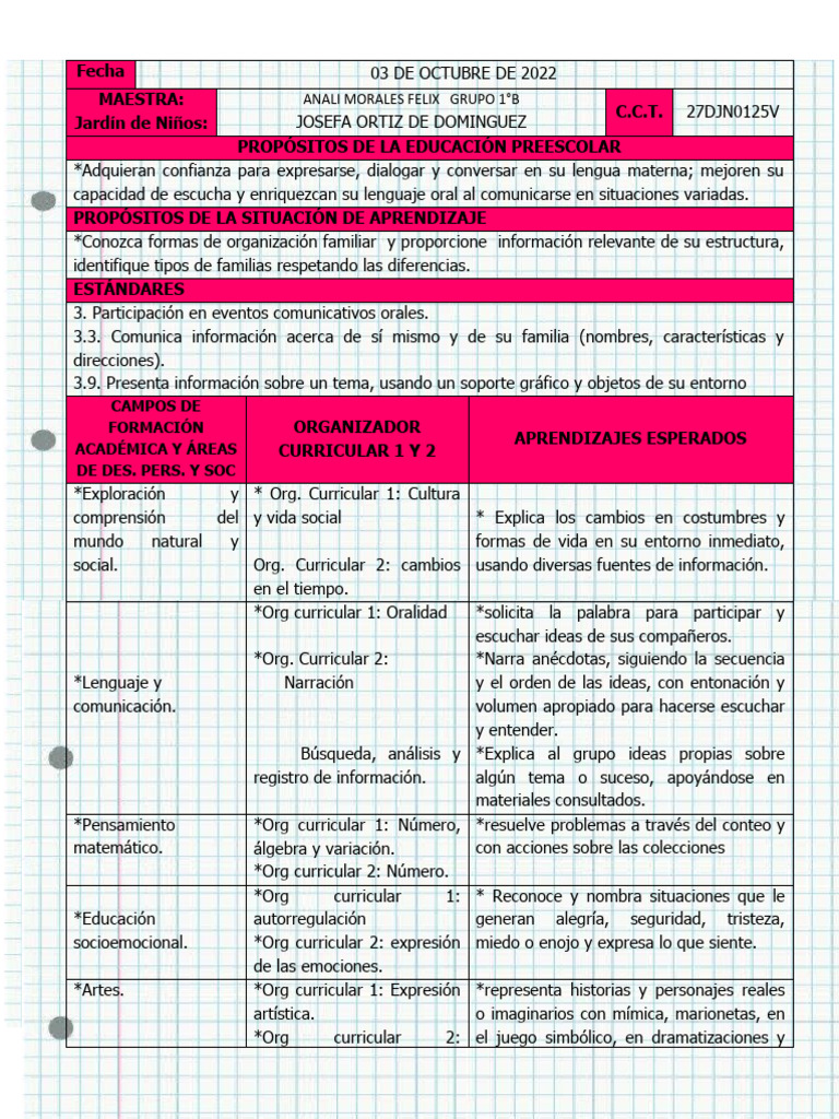 PLAN MI FAMILIA 2022-1 | PDF | Educación de la primera infancia ...